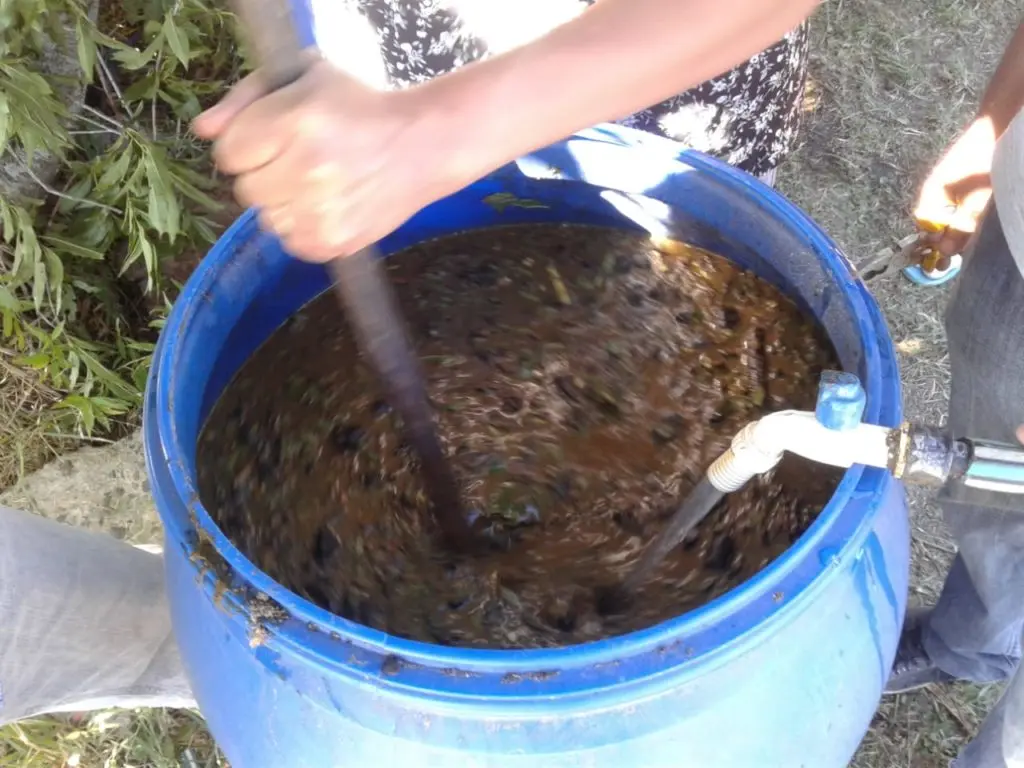 El misterioso caldo primitivo: la sopa que dio origen a la vida ...